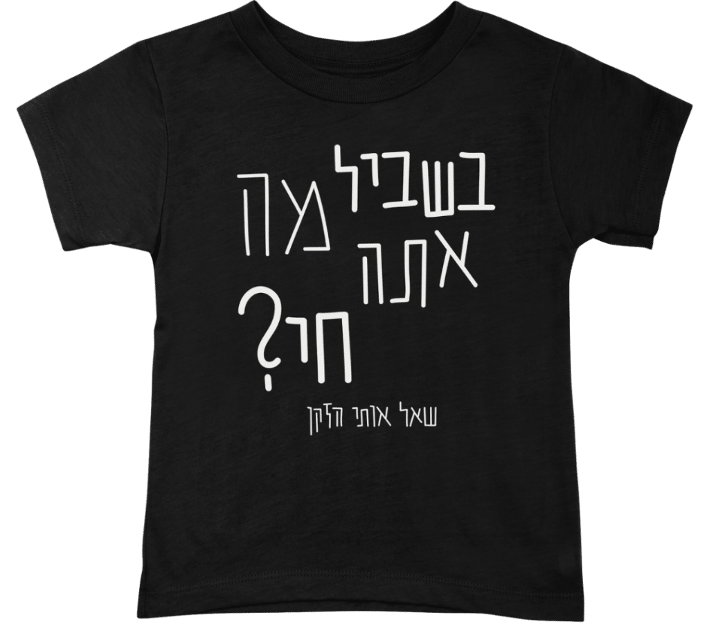 מאיר אריאל // בשביל לעשן • כביש אחד